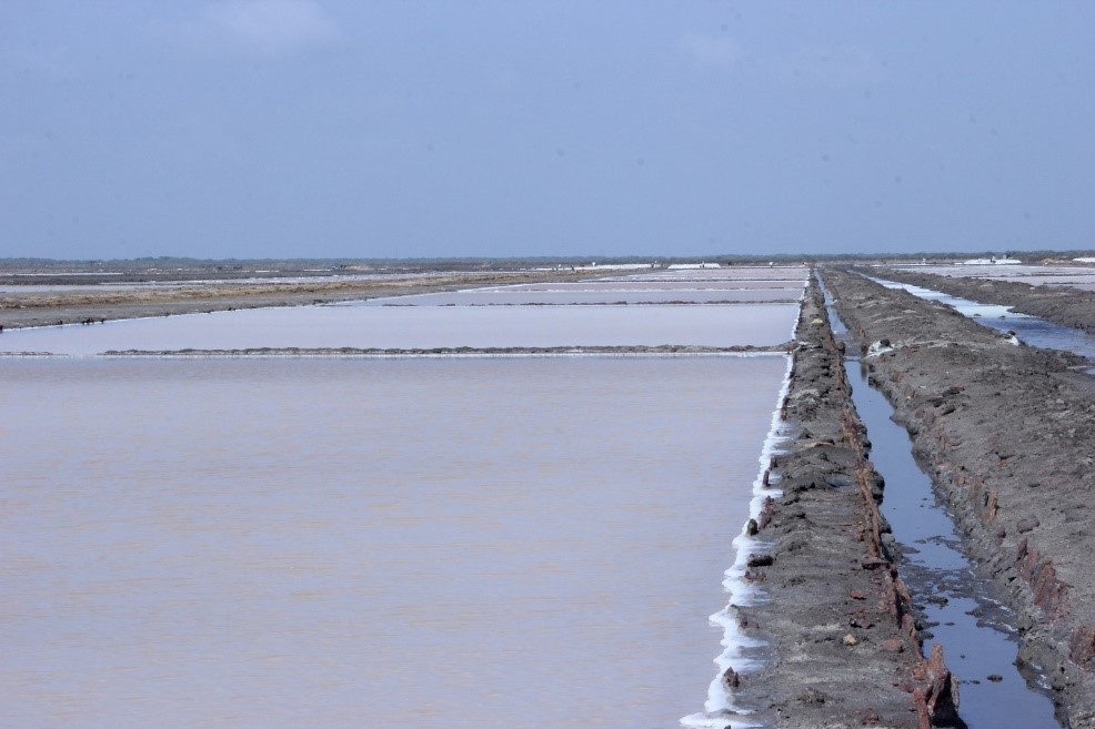 Mysterious Formation of Sea Salt - Al Amin Salt Works Pvt Ltd ...